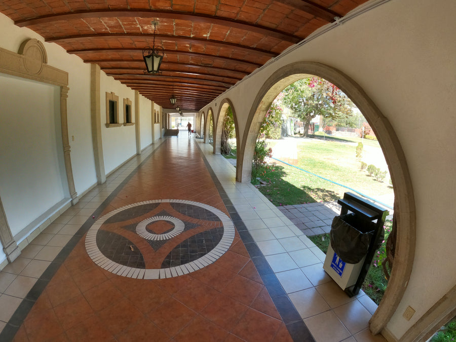 Nosotros – Universidad Internacional de Innovación